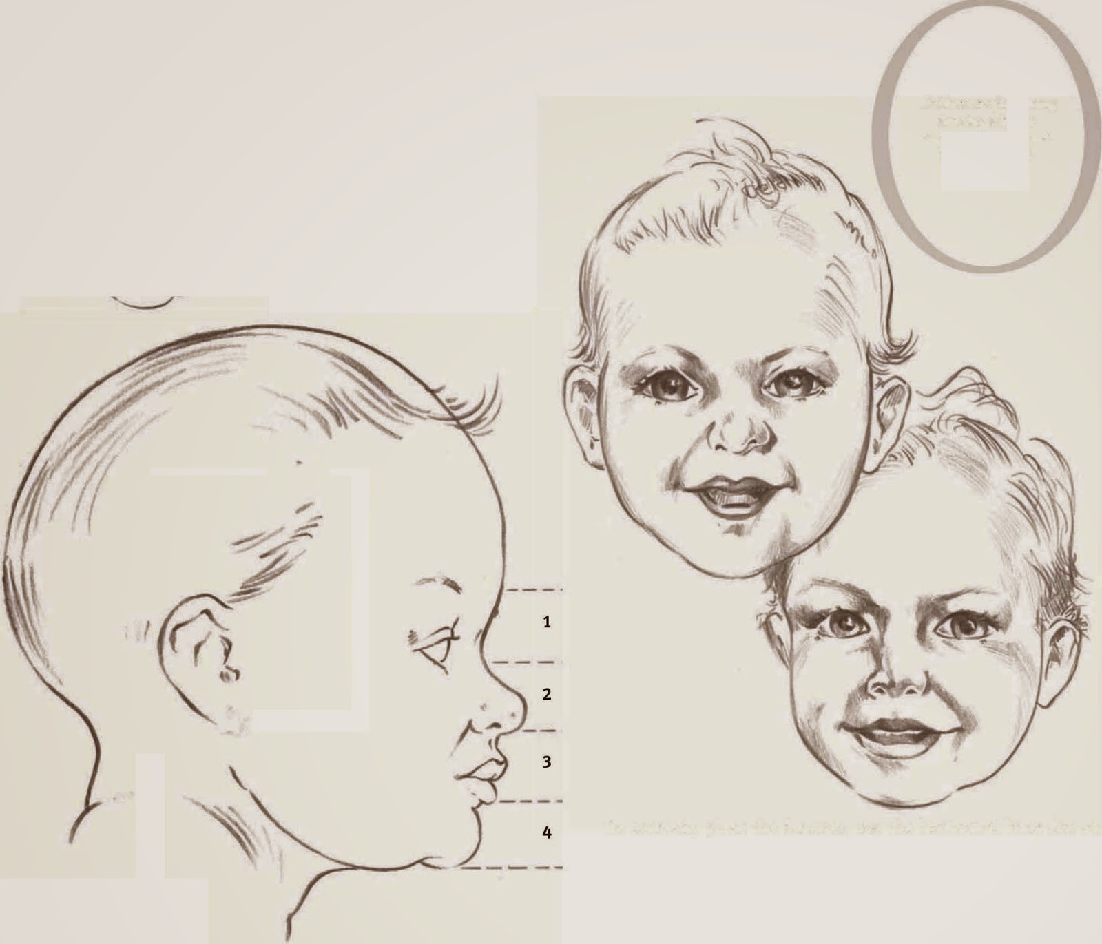 Drawings: CHILD HEAD PROPORTIONS