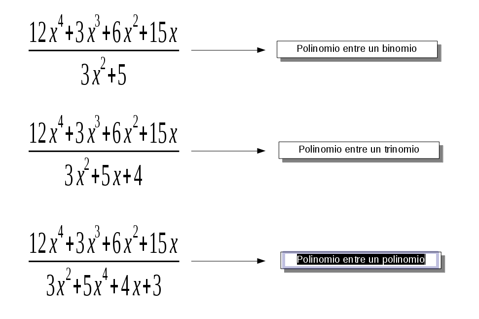 División Algebraica