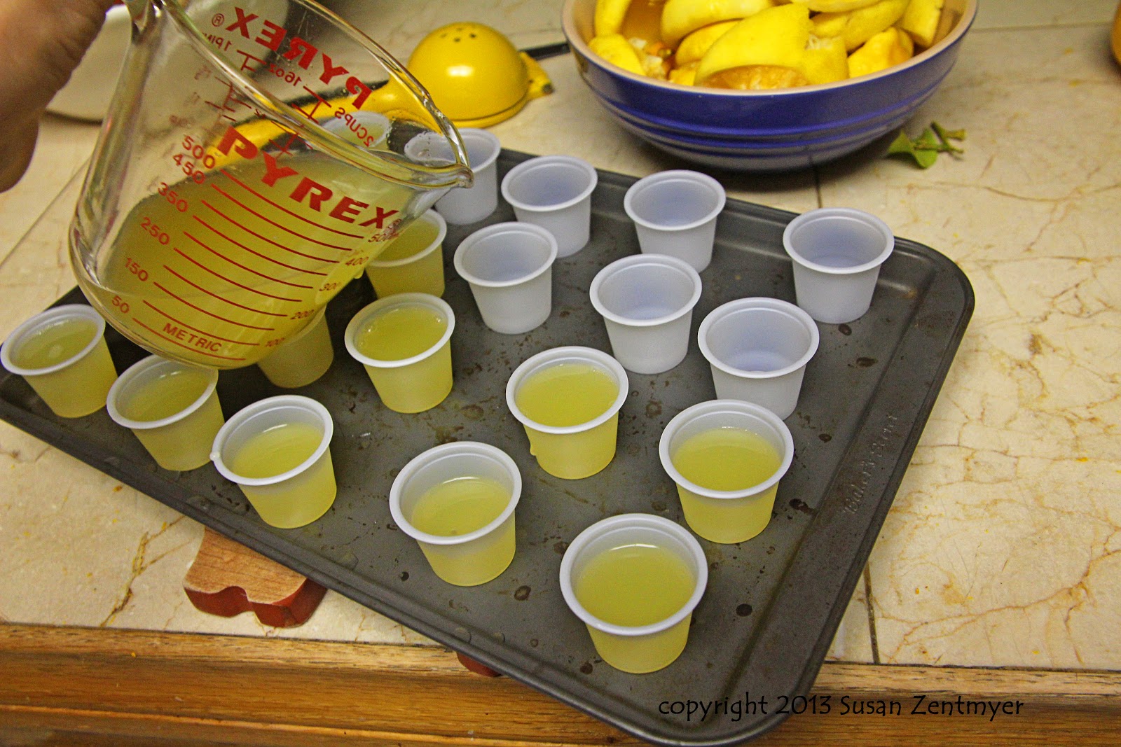 Love from the Kitchen: Lemon Juice - for Later