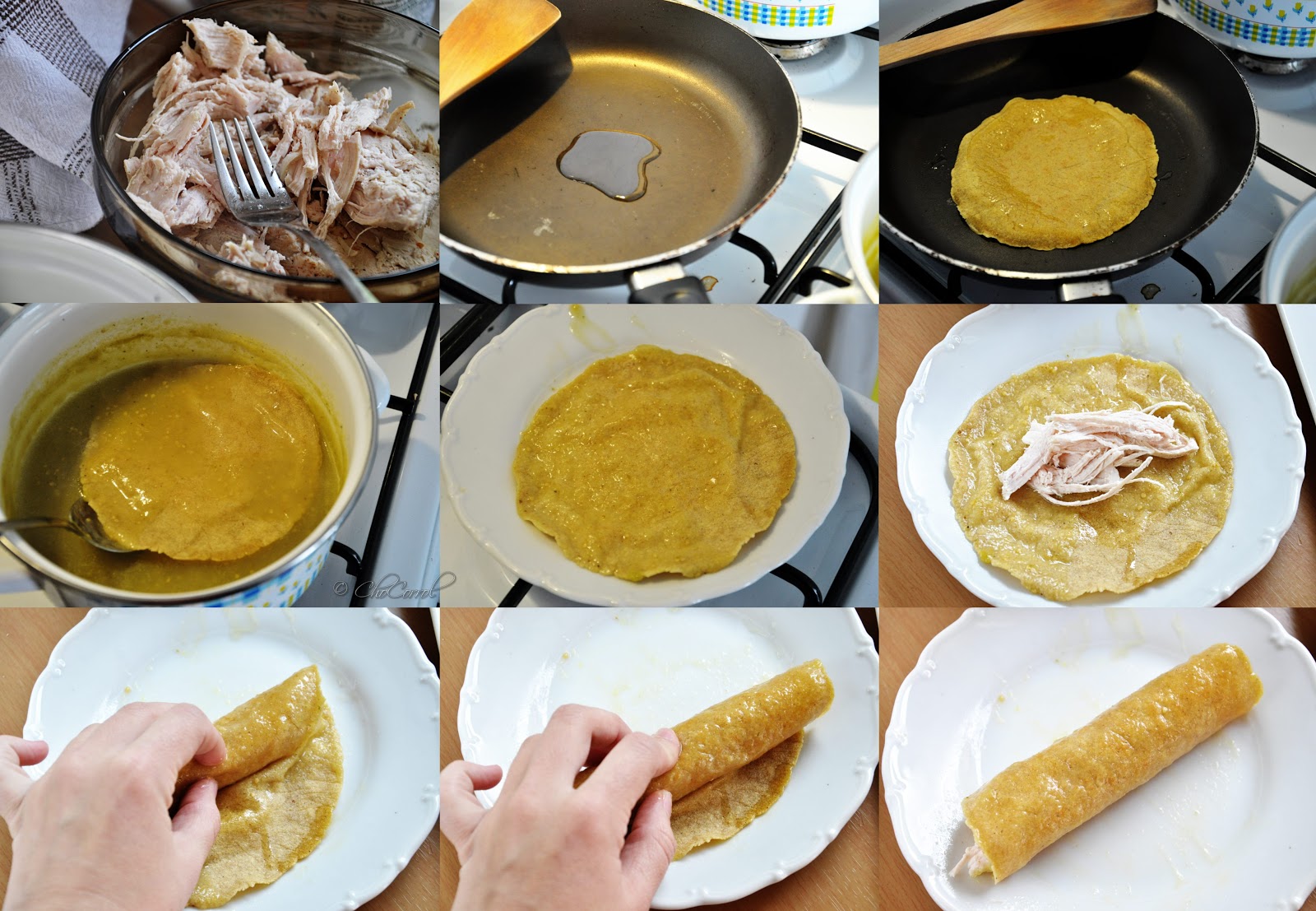 Colores Sabores Olores Colors Tastes Smells Green Enchiladas