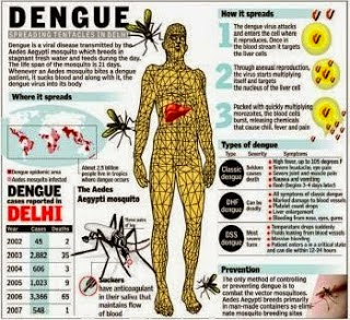 Dengue Fever and Platelet Count - Best Right Way