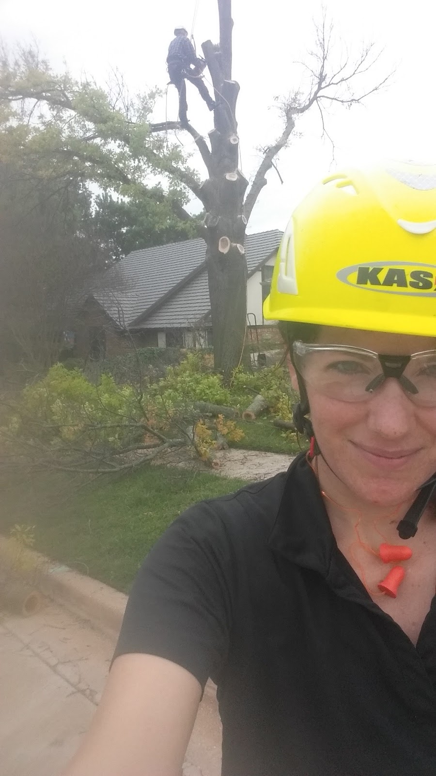 Tree Wizard: Our Newest ISA Certified Arborist!