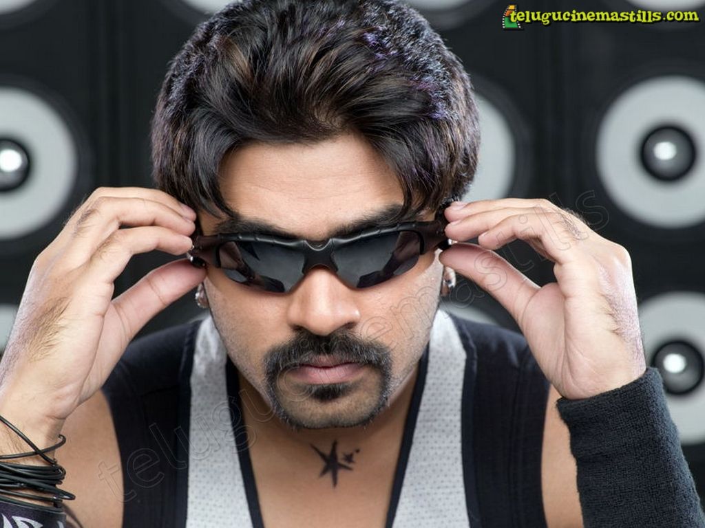 Actor,Actress portraits, Download actress pics: Actor simbu photos ...