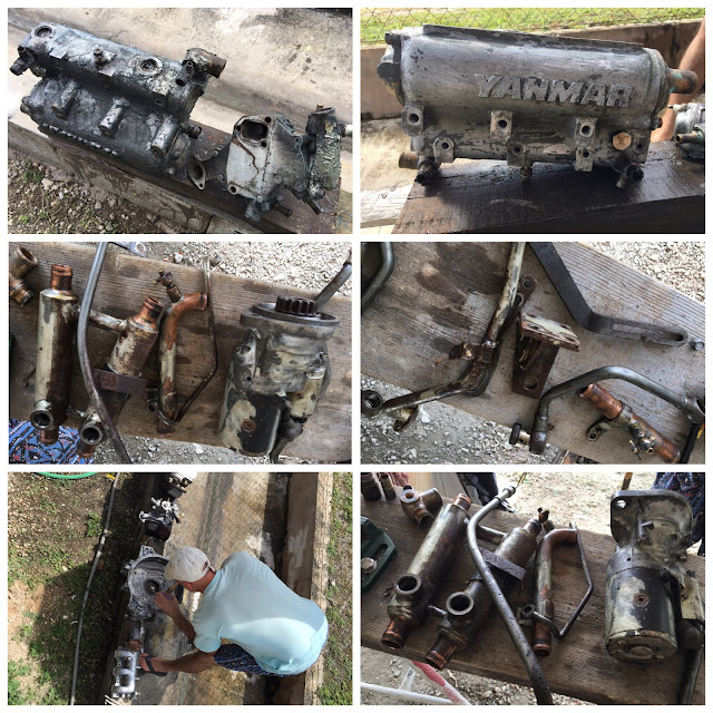 S/Y RAPTOR: Strip, Service & Repaint Our Yanmar Diesel Engine