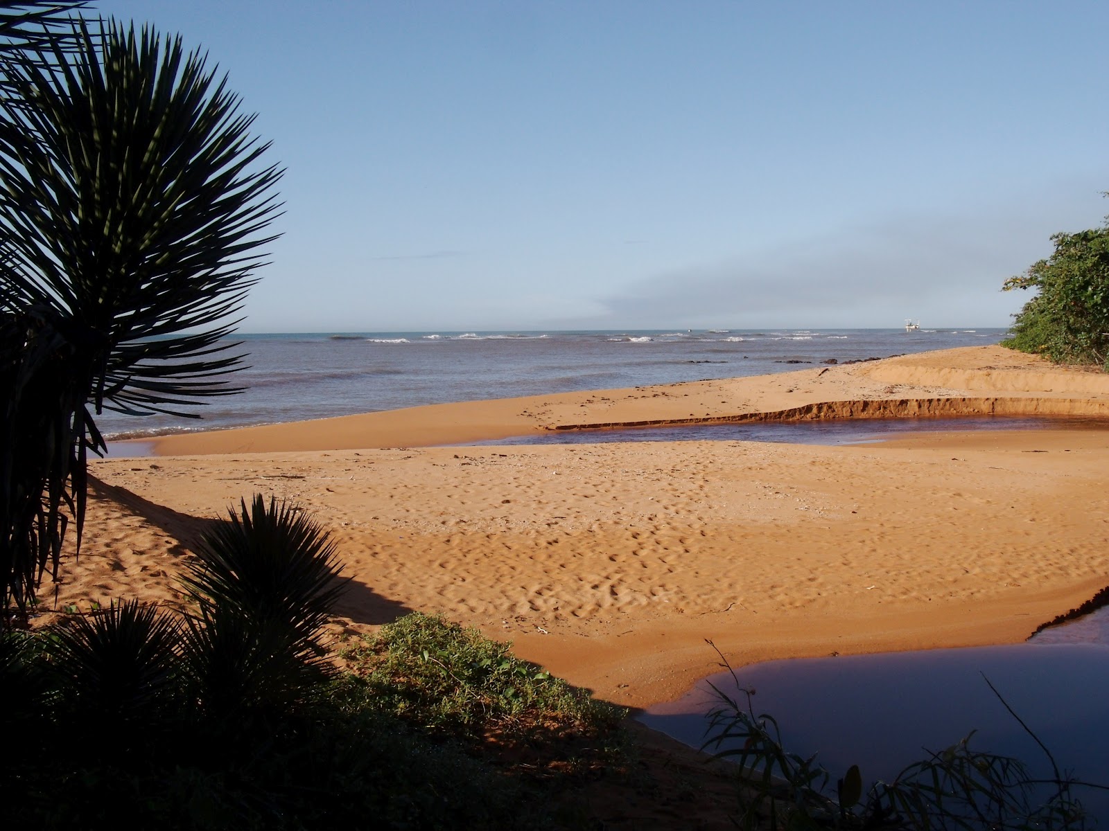 Lipsurf surf shop...: Chek surf barra do Riacho..