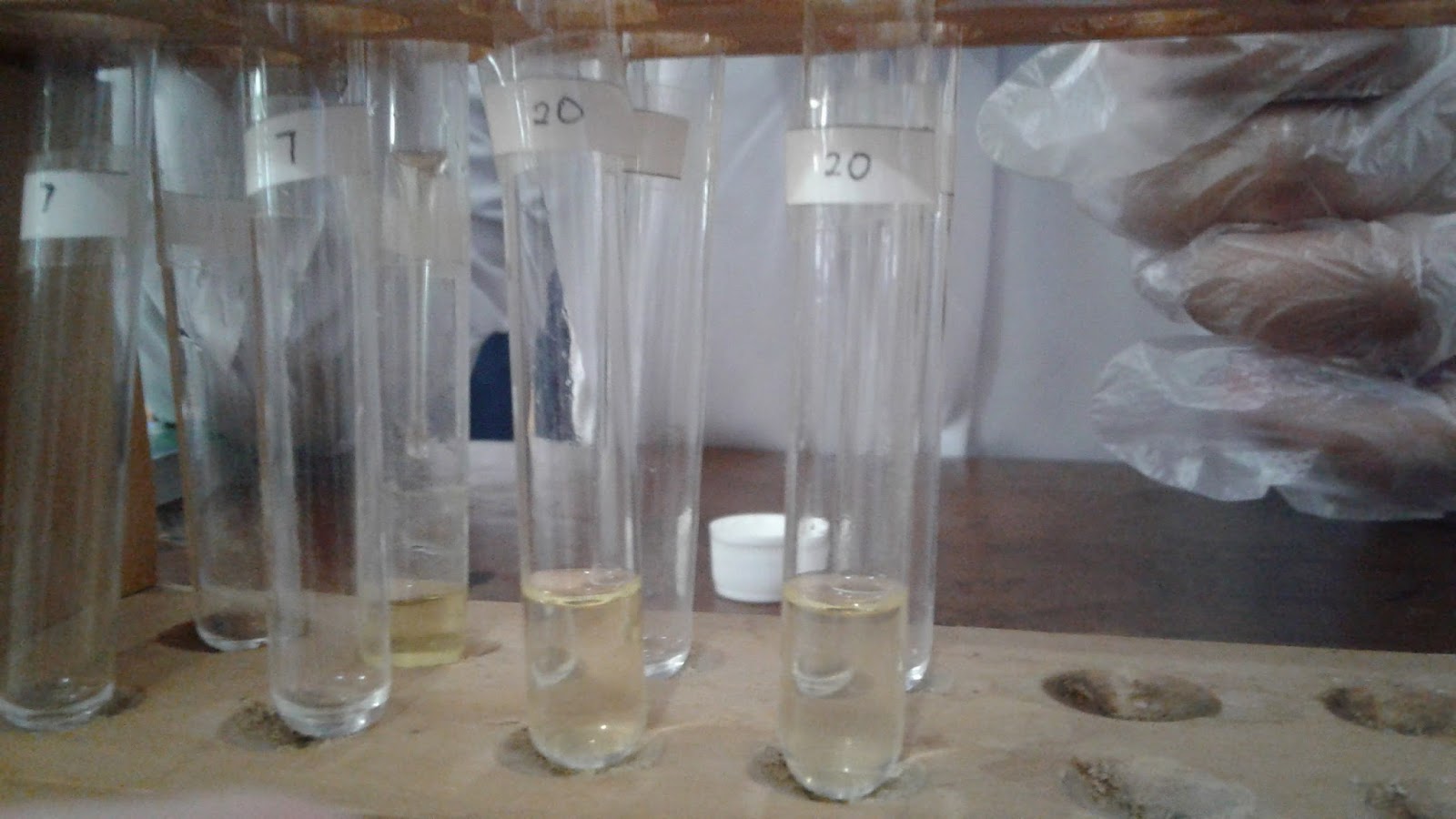 blog pelajar gk: Laporan Praktikum IPA “Uji Urine”