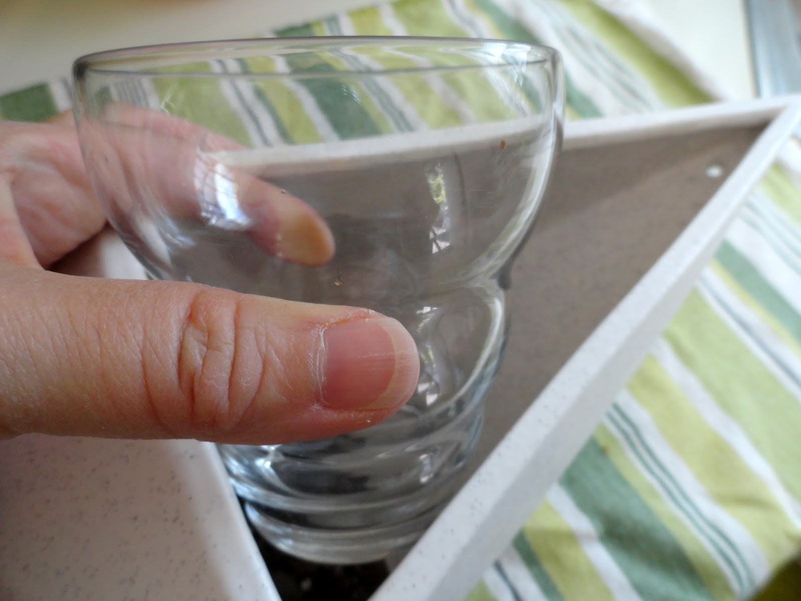 danger garden: In a Vase on Monday; frothy!