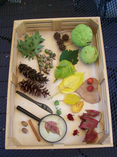 How to set up autumn season corner? - I Believe in Montessori