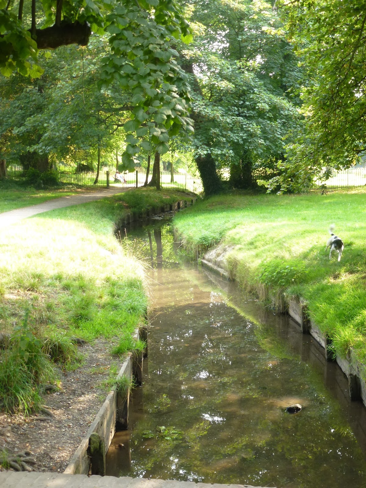 The end of Summer at Morden Hall Park