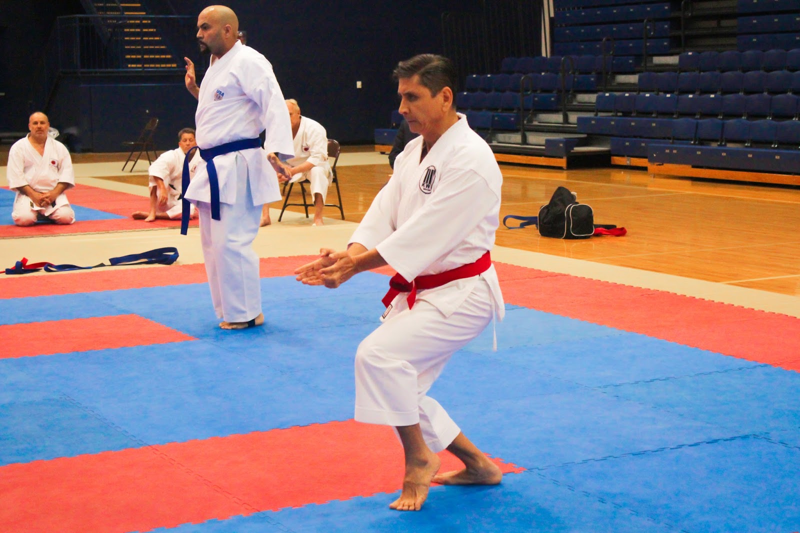 SHOWAKAI KARATE-DO DE VENEZUELA KARATE NO MICHI WORLD FEDERATION