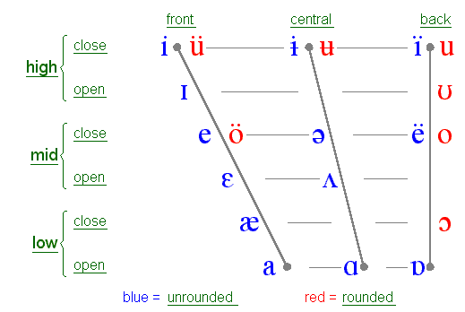 MY PHONOLOGY CLASS