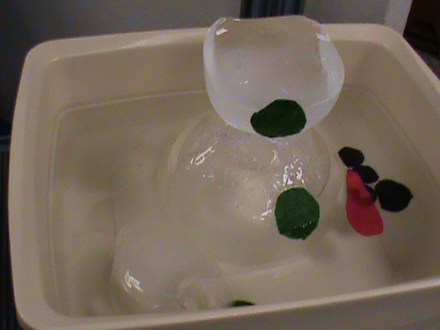 Louise Morgan: The Life Cycle of a Snowman