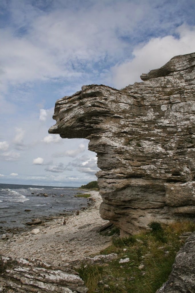Weblog Vlietenzo: Dag 11 – Prachtig stuk natuur waar de kliffen de zee ...