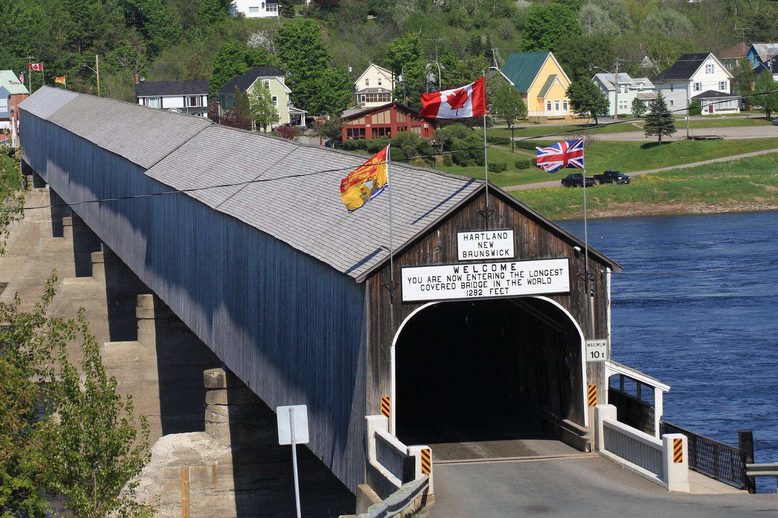 Longest Bridges Across Globe