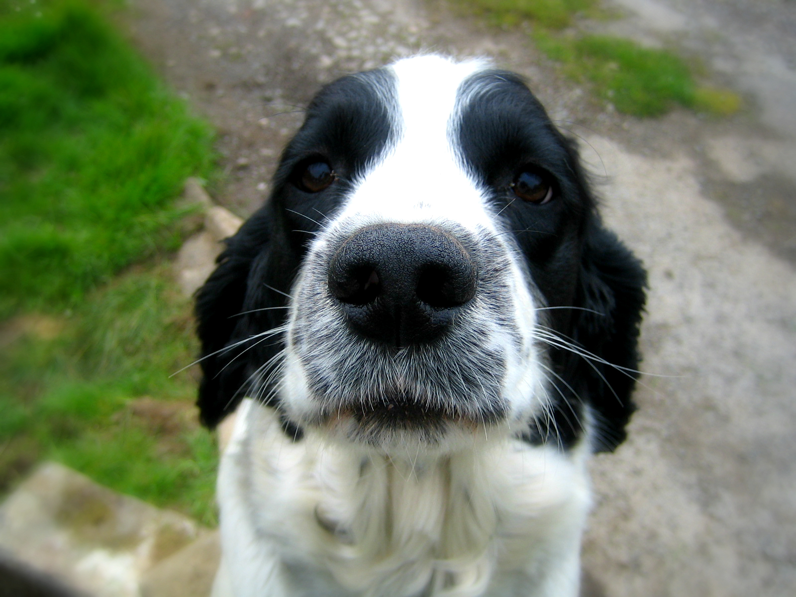 Princess Rogan - Mrs Katie Heath