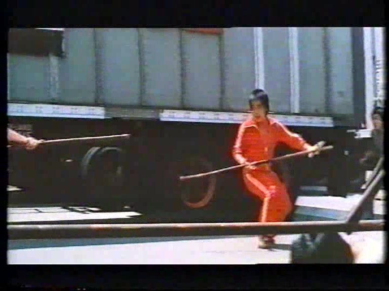 BRUCE LEUNG (LEUNG SIU LUNG) 梁小龍