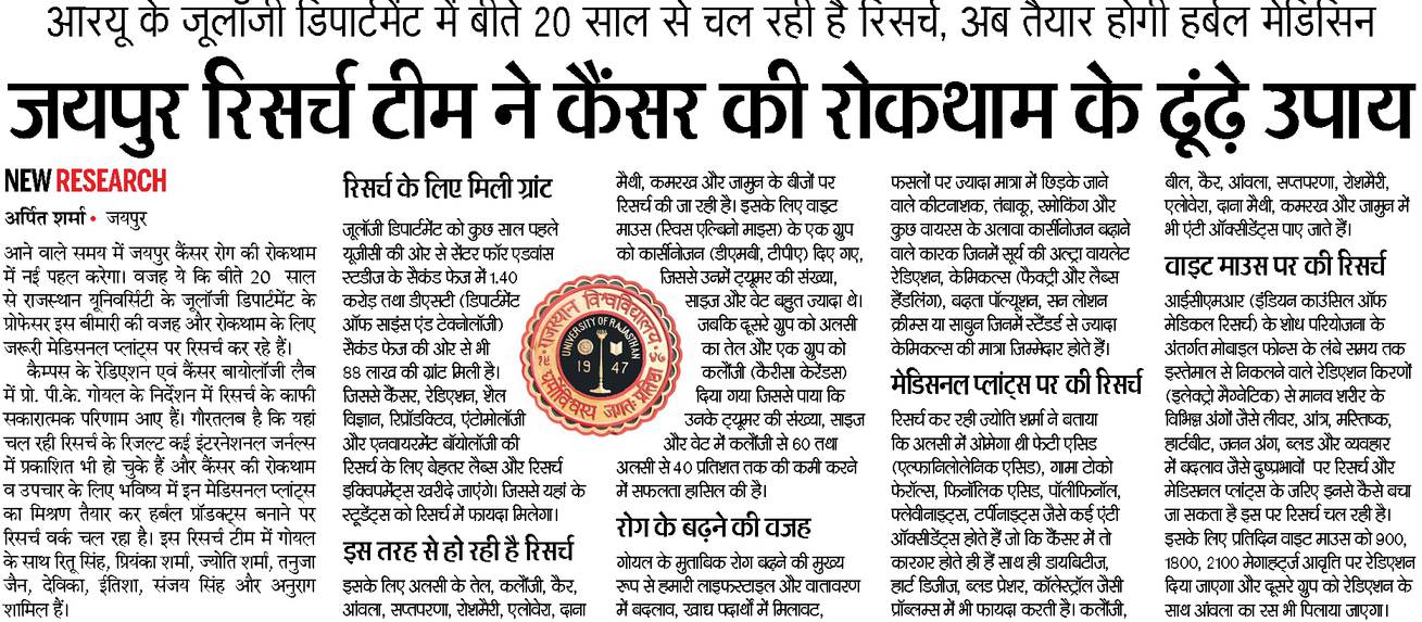 University Degree: Rajasthan University Degree