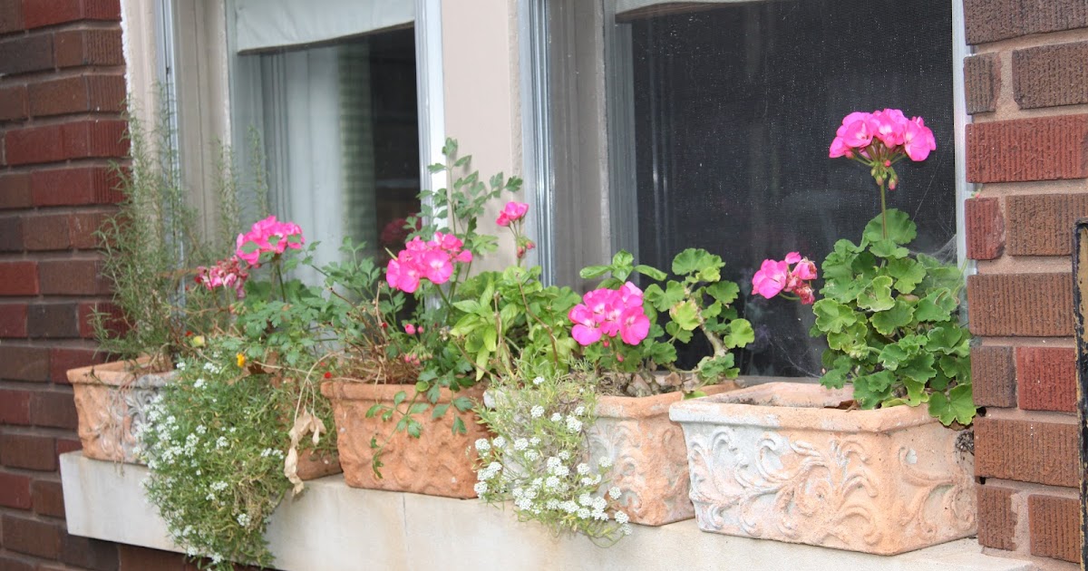 lisa gammel maas: in clover: time for a change