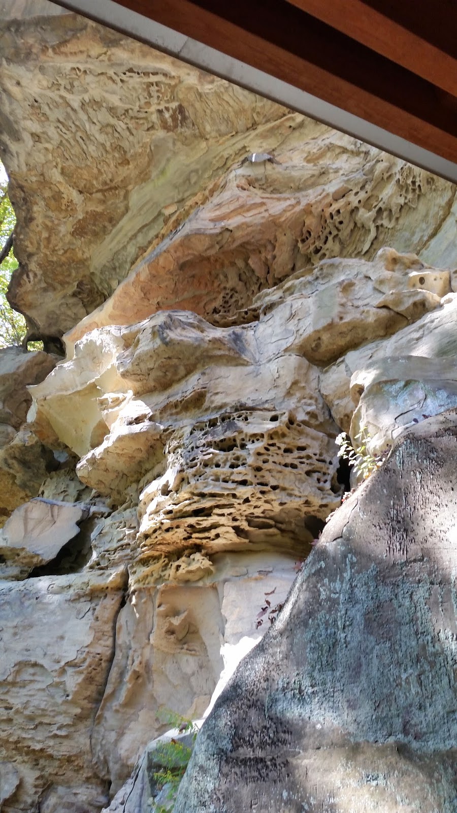 It's a wonder-filled life: Rocks of Ages -- Meadowcroft Rockshelter