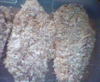 foodpassions: Tonkatsu Chicken with Java Rice