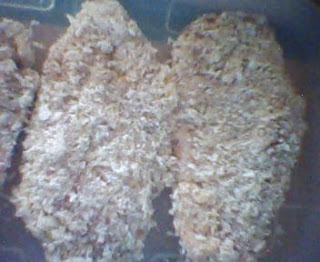 foodpassions: Tonkatsu Chicken with Java Rice