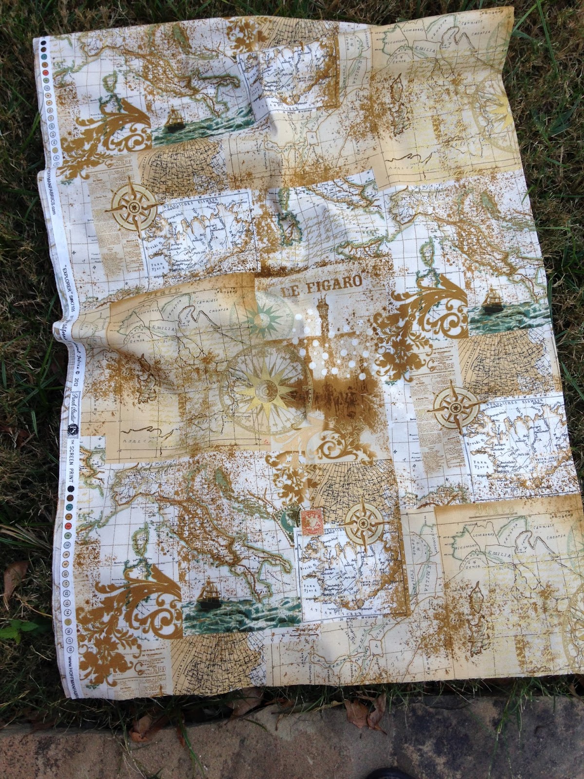 sing. read. sew. travel. teach.: Found Map Fabric