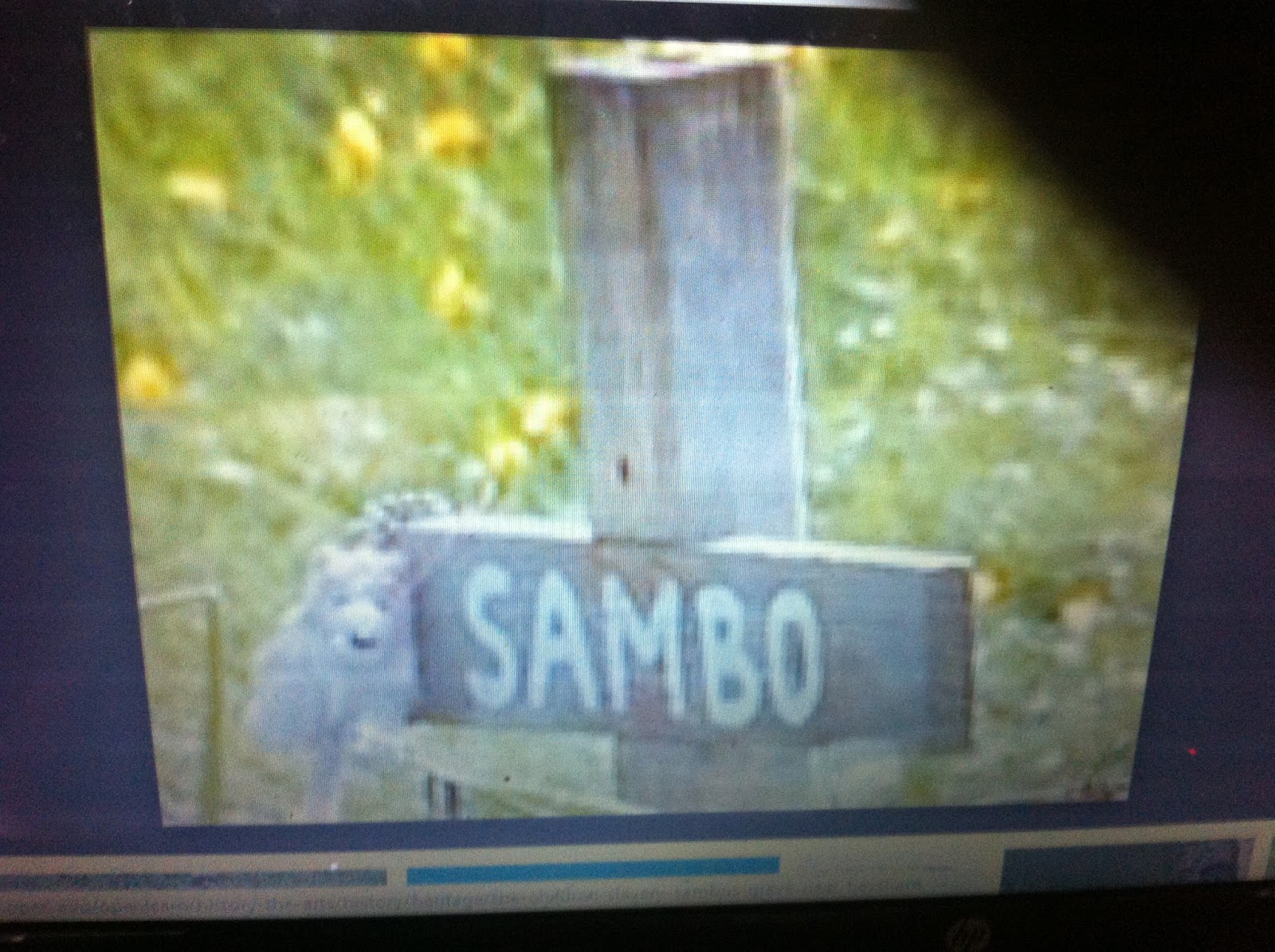 THE BLACK SOCIAL HISTORY:: BLACK SOCIAL HISTORY : SAMBO GRAVE IS THE ...