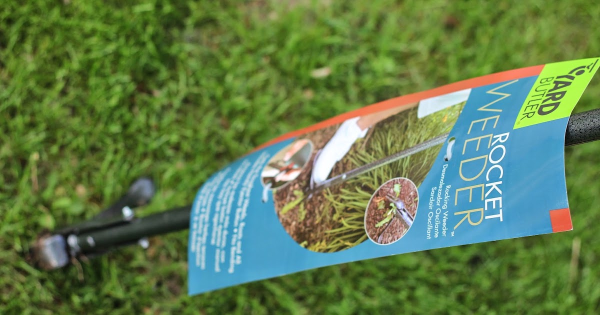 Women on a Mission: Mom Edition: WEED ROCKET