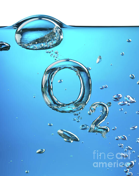 OKSIGEN « Ilmu Pengetahuan Alam