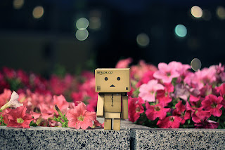 Remembering ..: My Danbo .. The Spirited Doll