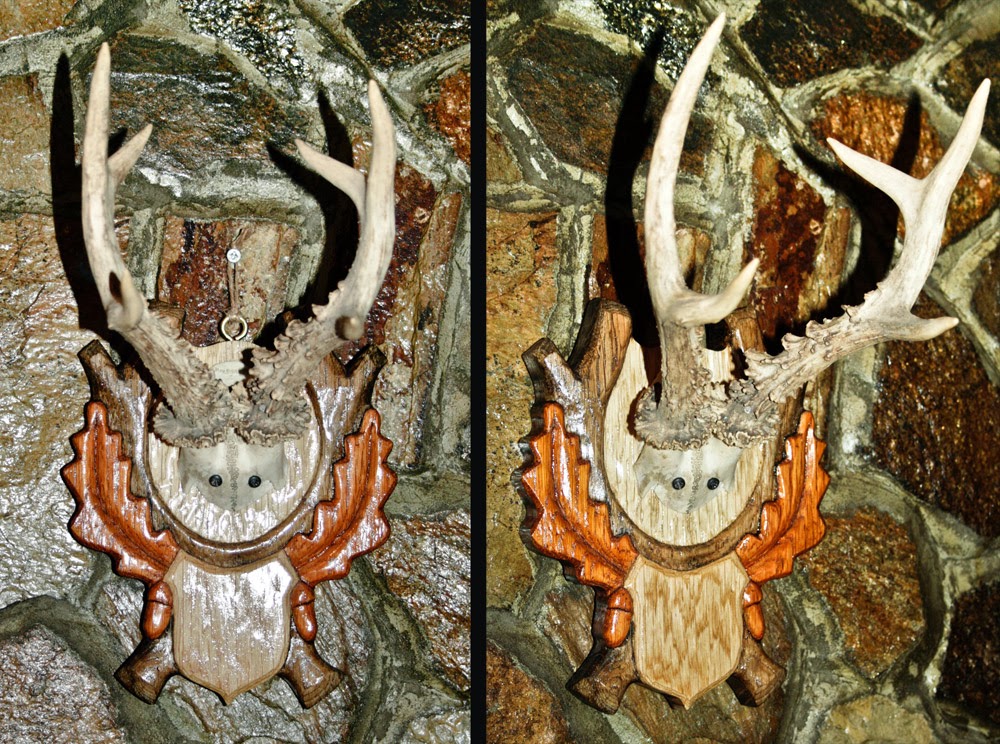 panoplii de vanatoare: trofee de vanatoare, coarne