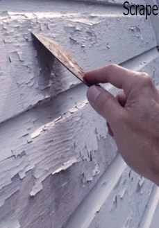 Learn about English Confused Word “Scale” with Necessary Vocabulary ...