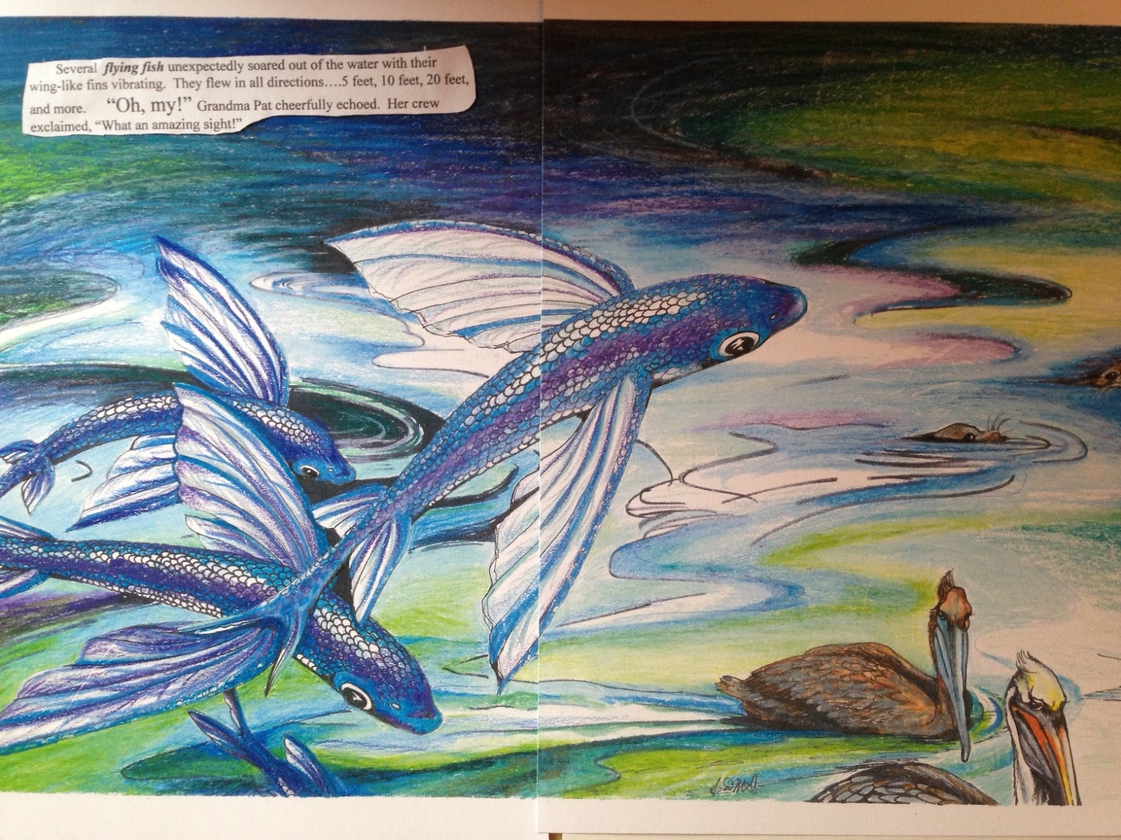 Pat's Channel Swim: Catalina Flying Fish