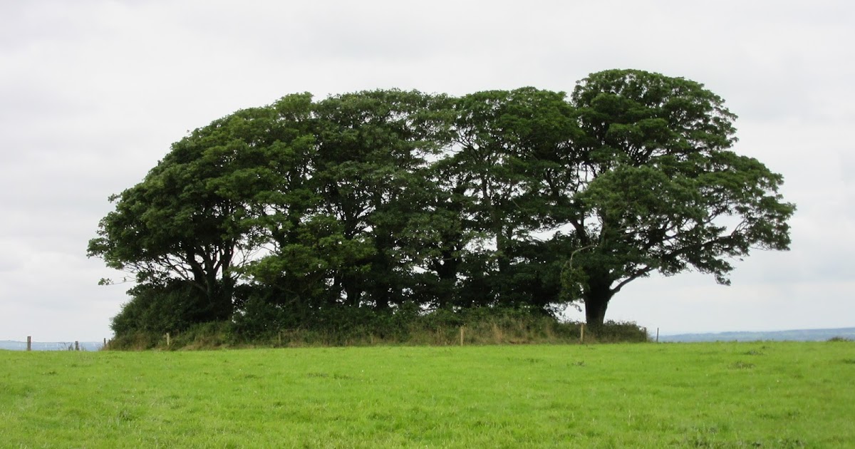 Rónán Gearóid Ó Domhnaill: Ringfort