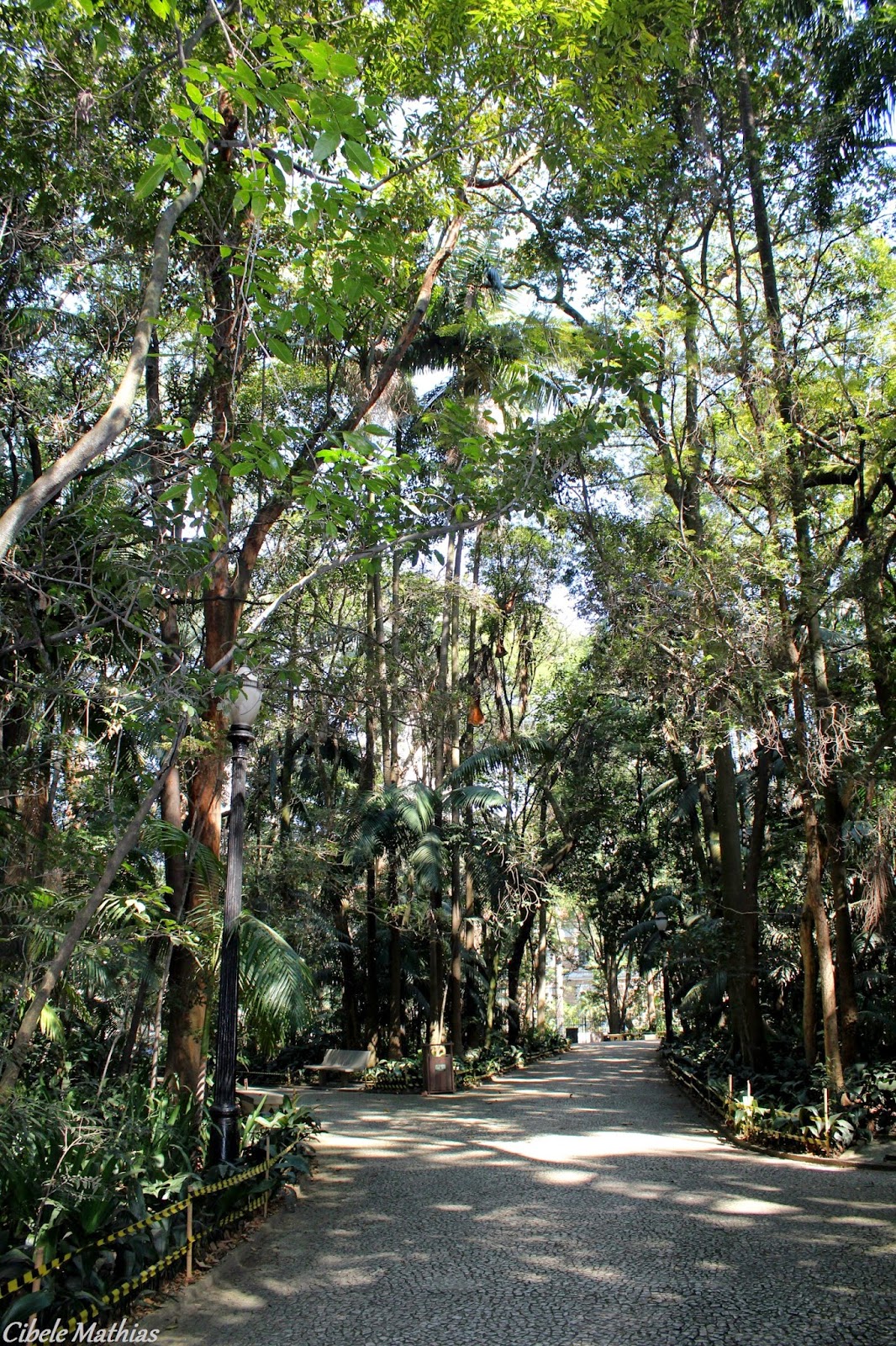 Passear e Fotografar: Parque Trianon