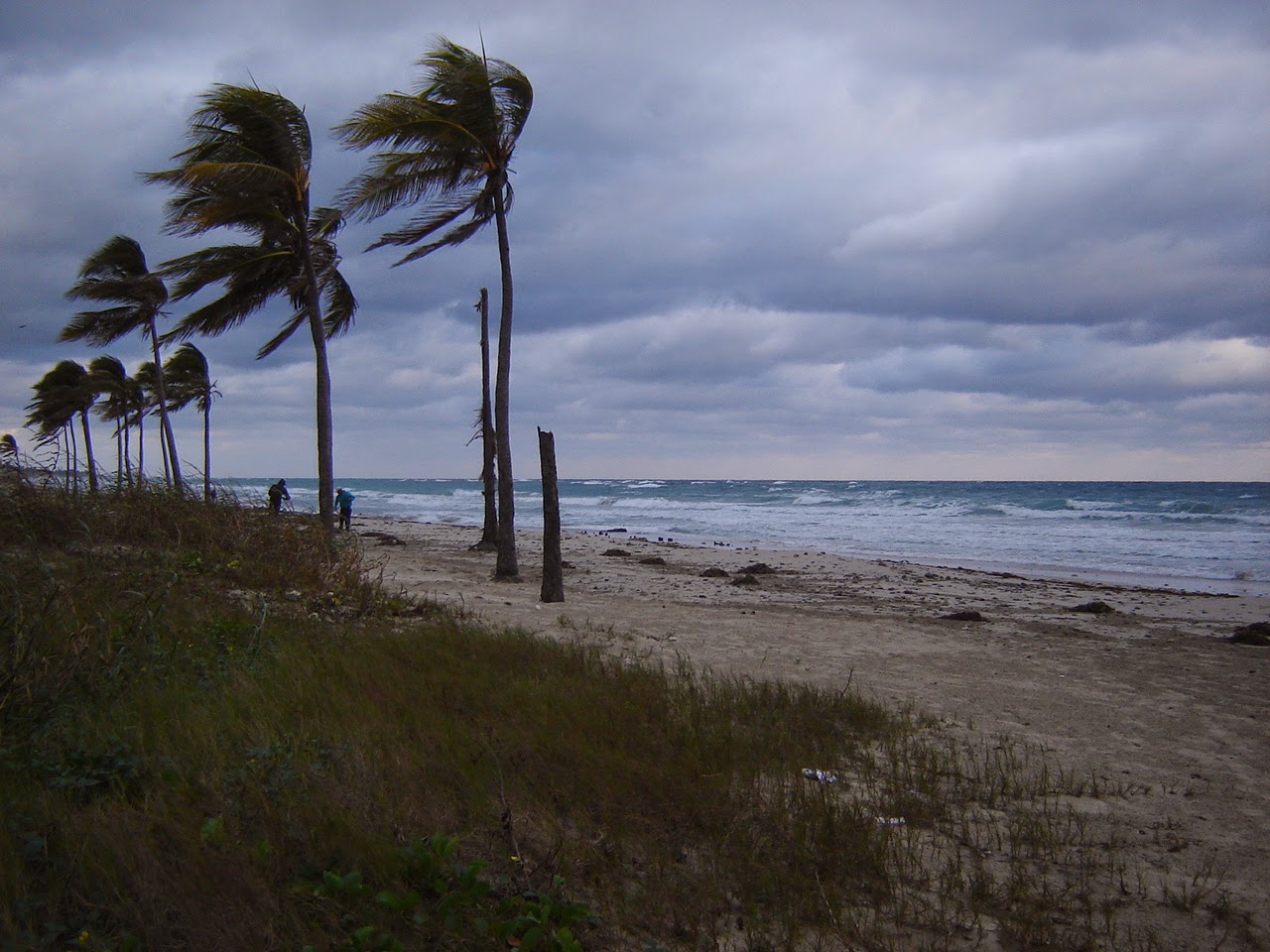 Blog de Pedro Juan Gutiérrez: TORMENTA EN LA PLAYA