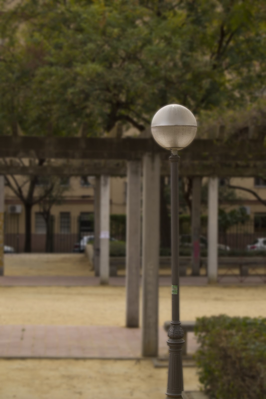 Luis Enrique Limones Bernabé Fotografía: Enfoque Selectivo Digital