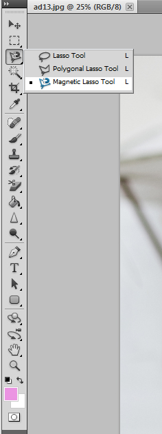 Ruche: Picture This: Cutting Out Objects in 2 Steps