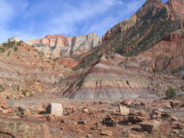 johncristiani: UTAH - Zion National Park