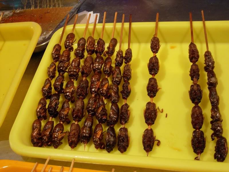 B1TOX: Kecoa juga enak dimakan...