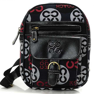 Small coach handbags