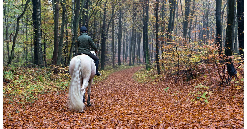 Lars fotografier: Rida rida ranka.