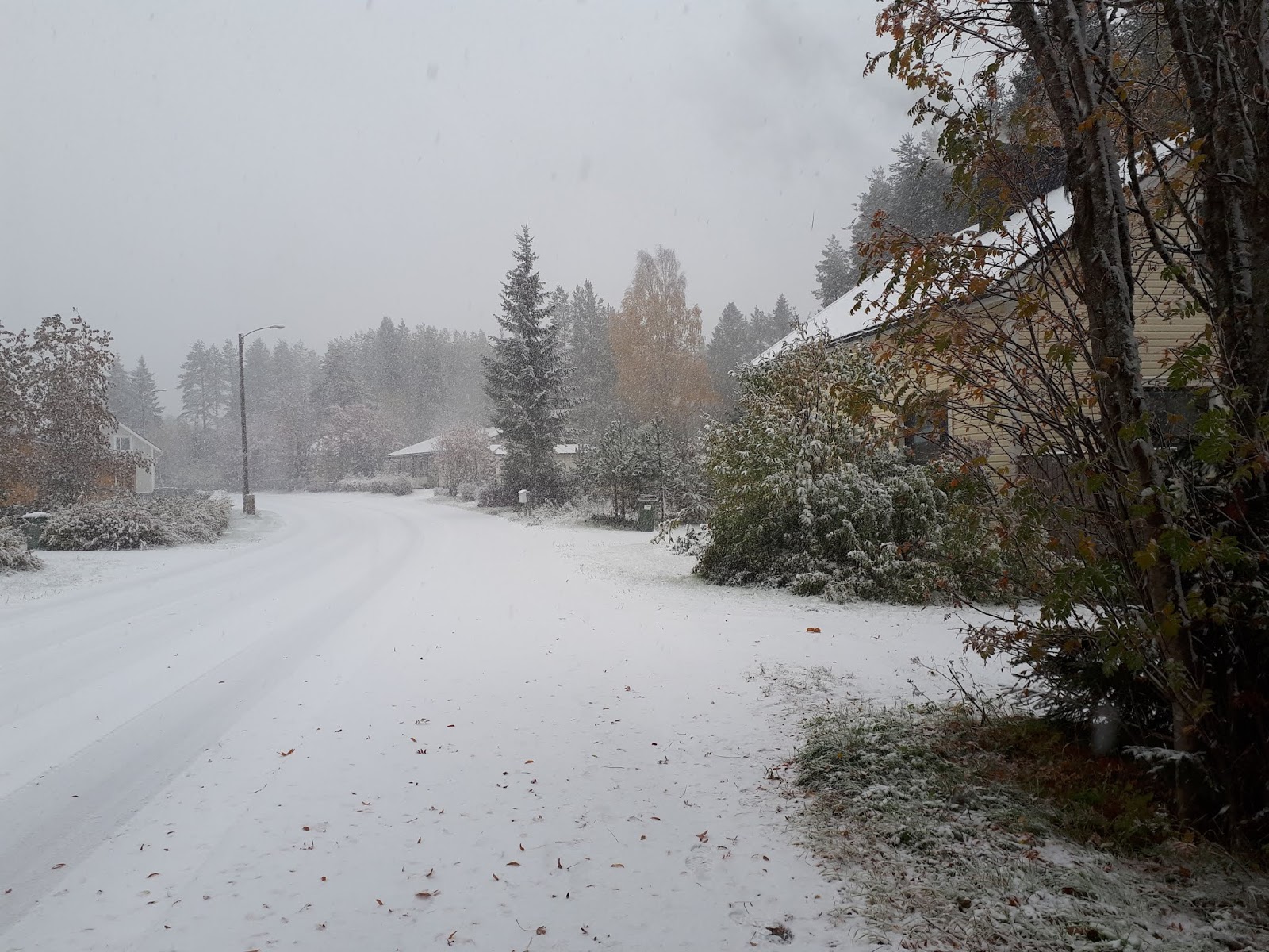 Jounin päivän jutut: Lokakuun talvinen kuva
