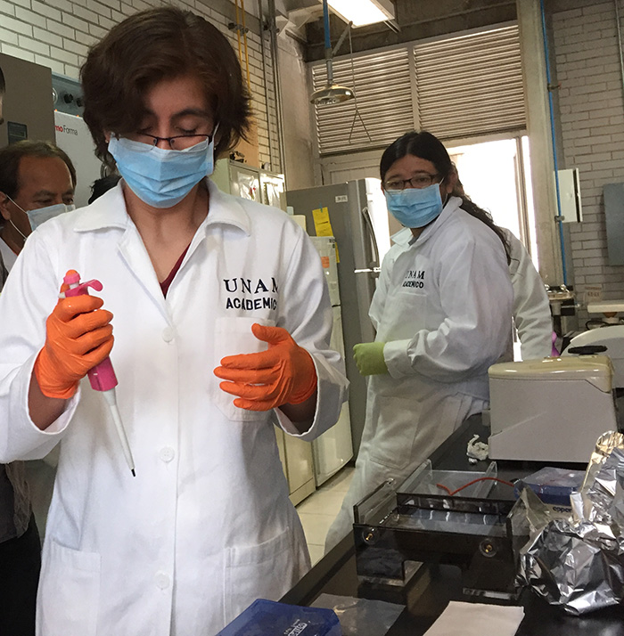 Fotografías del curso Extracción de DNA genómico de insectos y ...