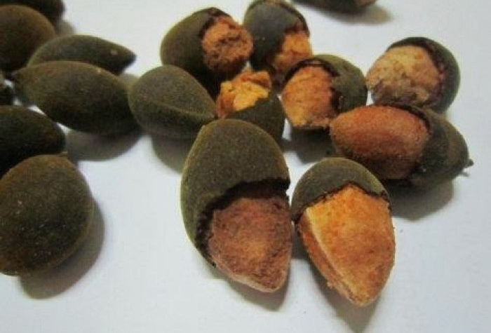 LƯU KHÂM HƯNG (劉欽興): TRÁI SAY (XAY) NHUNG - TRÁI CÂY RỪNG