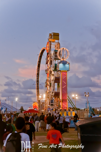 DH Maui and DH Idaho Fine Art Photography, and Velata Masonry: Day 17 ...