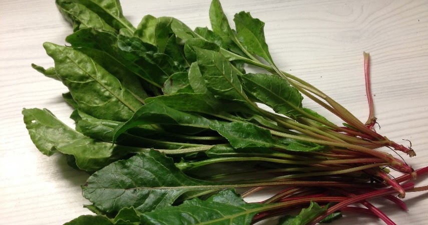 Bietola Selvatica - Cucina Salentina