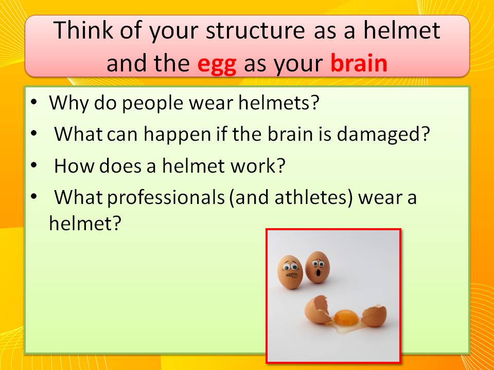 Ms Rashid: The Great Egg Drop Science Project