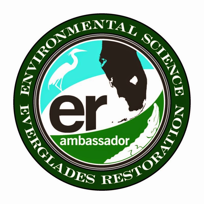 Senior Project - Andreas Sarris