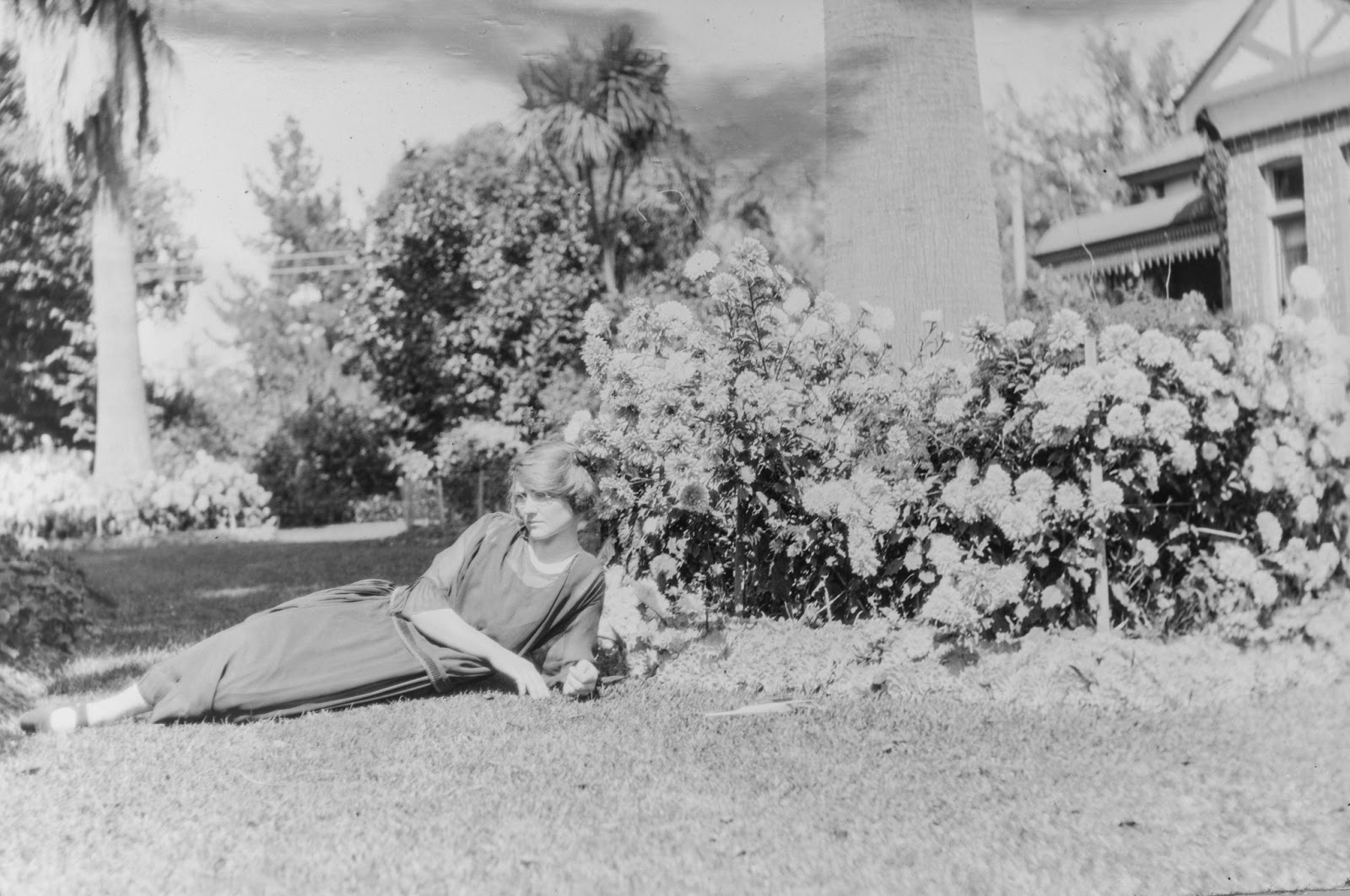 Old Format Negatives How To Get Pictures From Negatives old-format-negatives-how-to-get-pictures-from-negatives